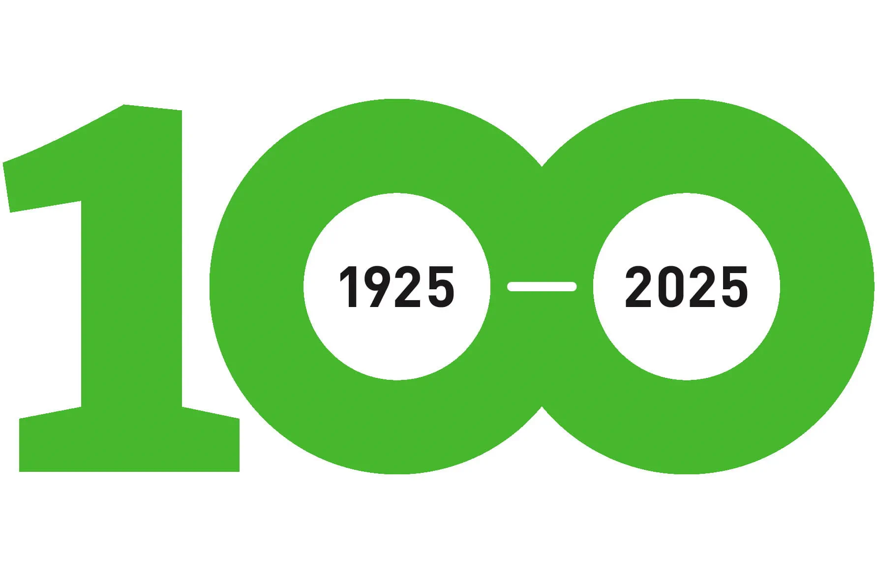 The DOMINO DF 500 Systainer³ for Festool's 100th anniversary